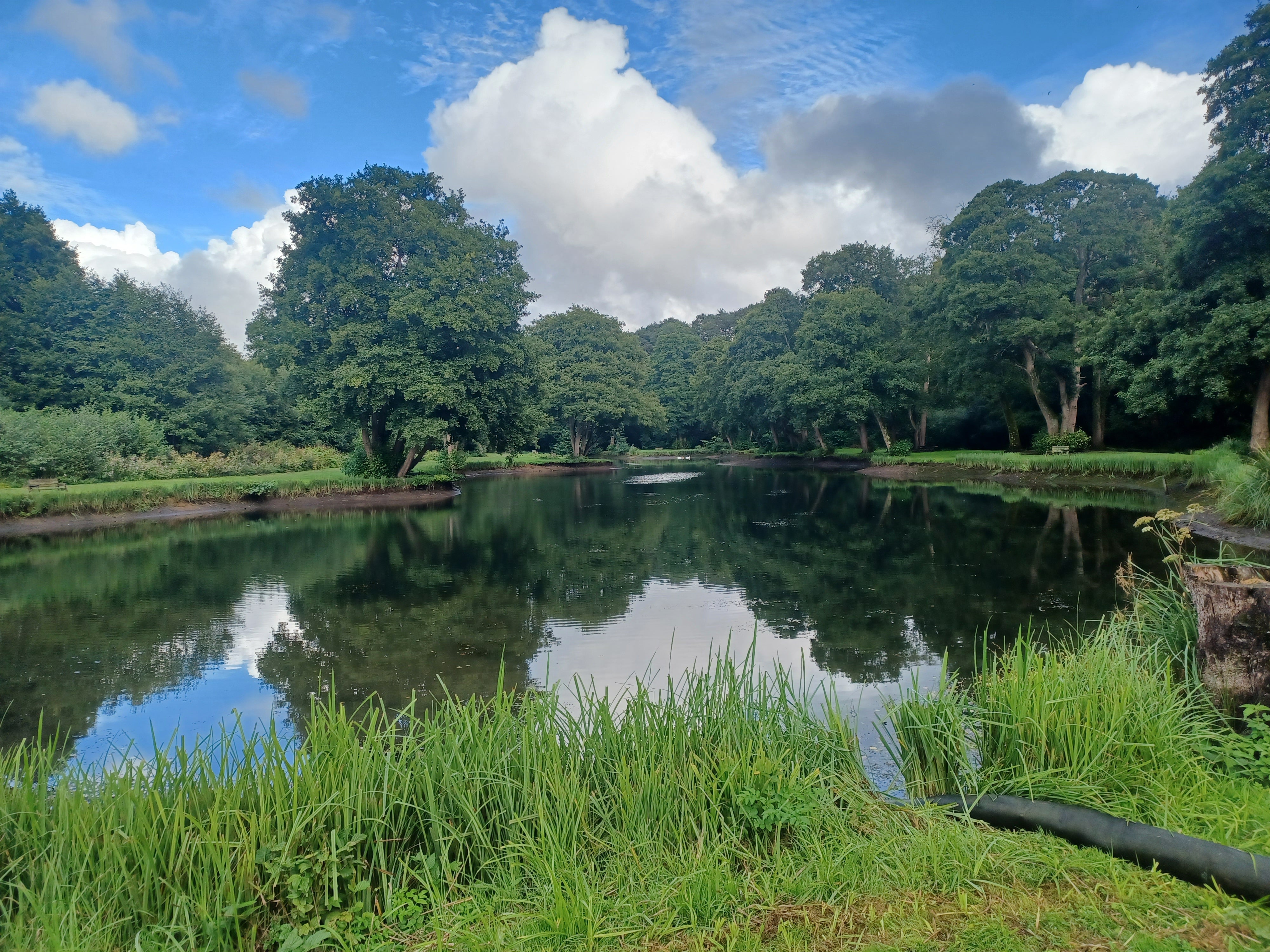 Fishery Report 4th September – Albury Estate Fisheries