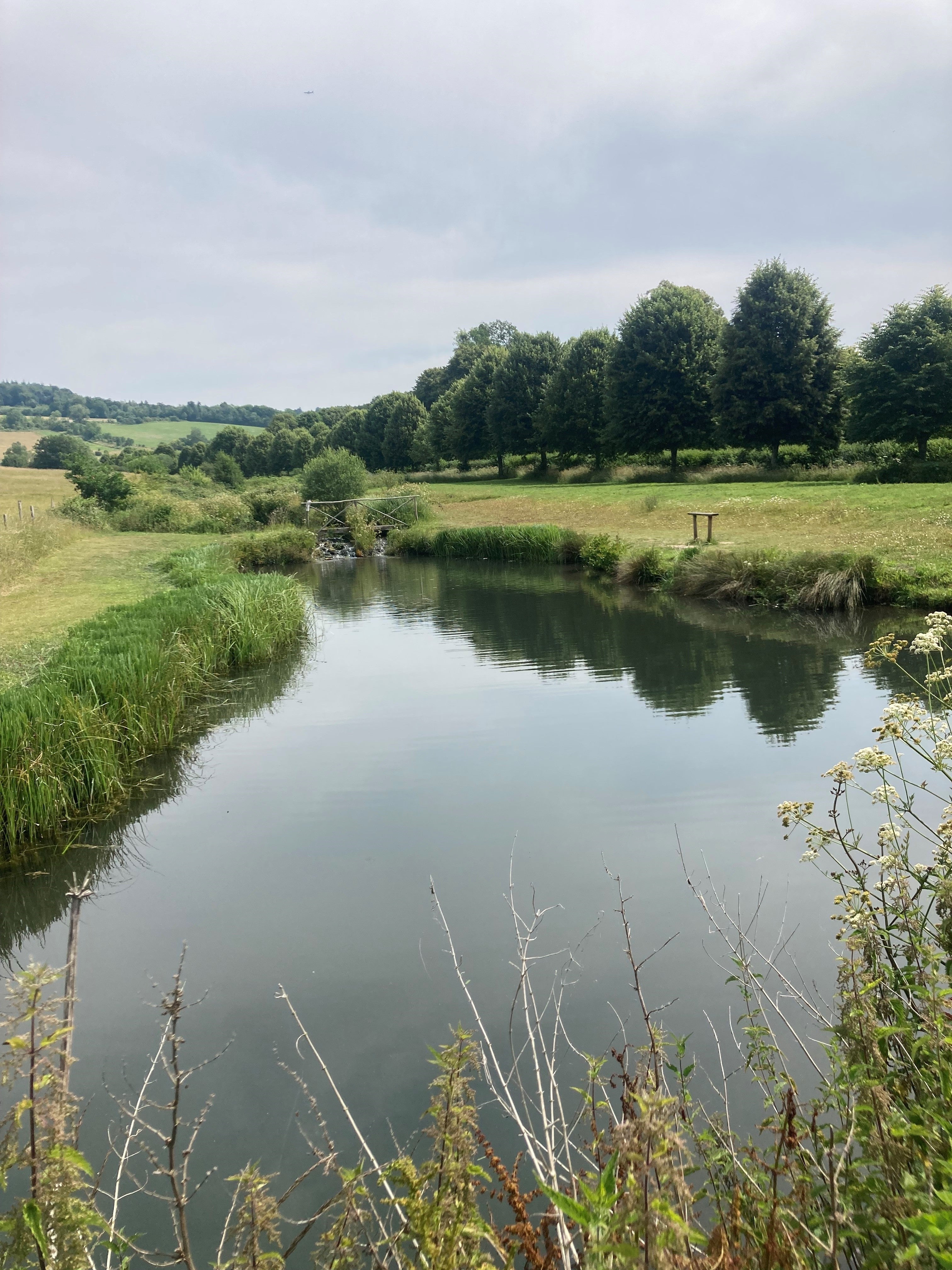 Fishery Report 20th June – Albury Estate Fisheries