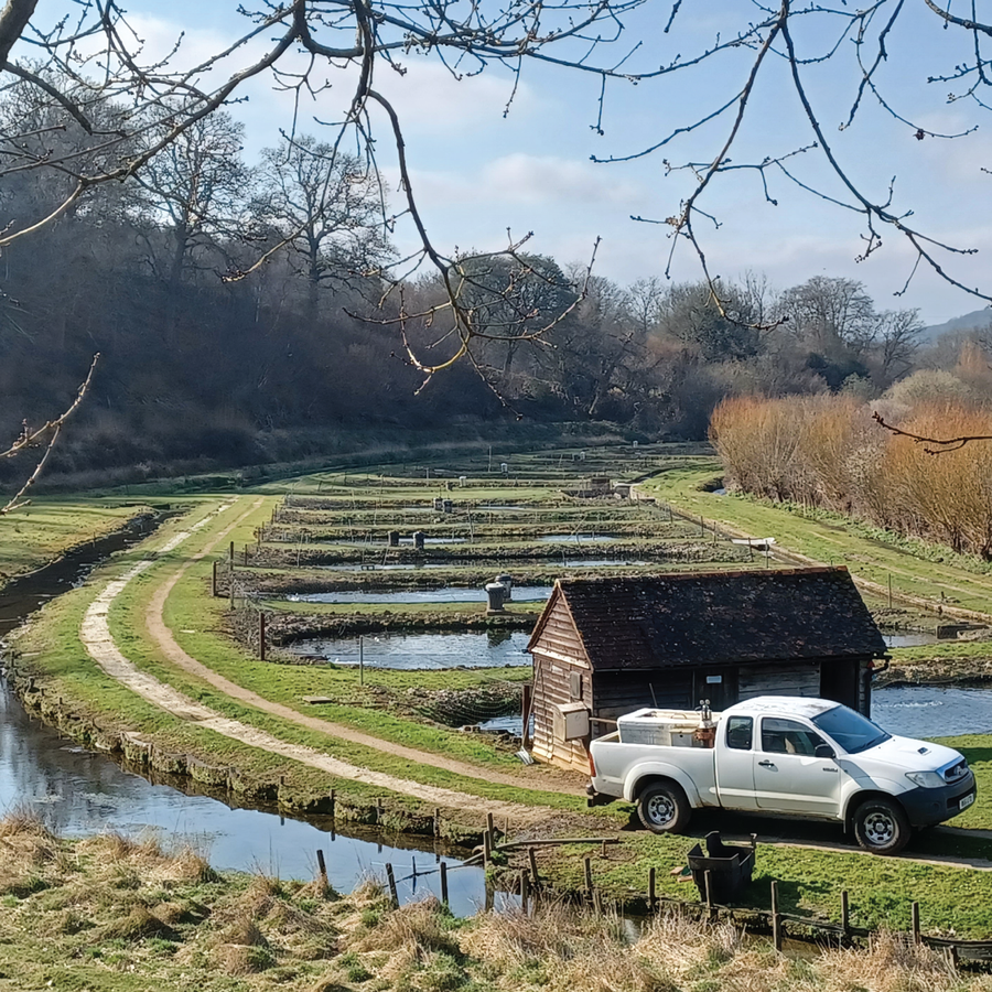 ABOUT – Albury Estate Fisheries