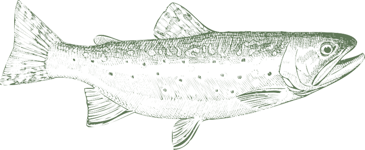 CONTACT – Albury Estate Fisheries