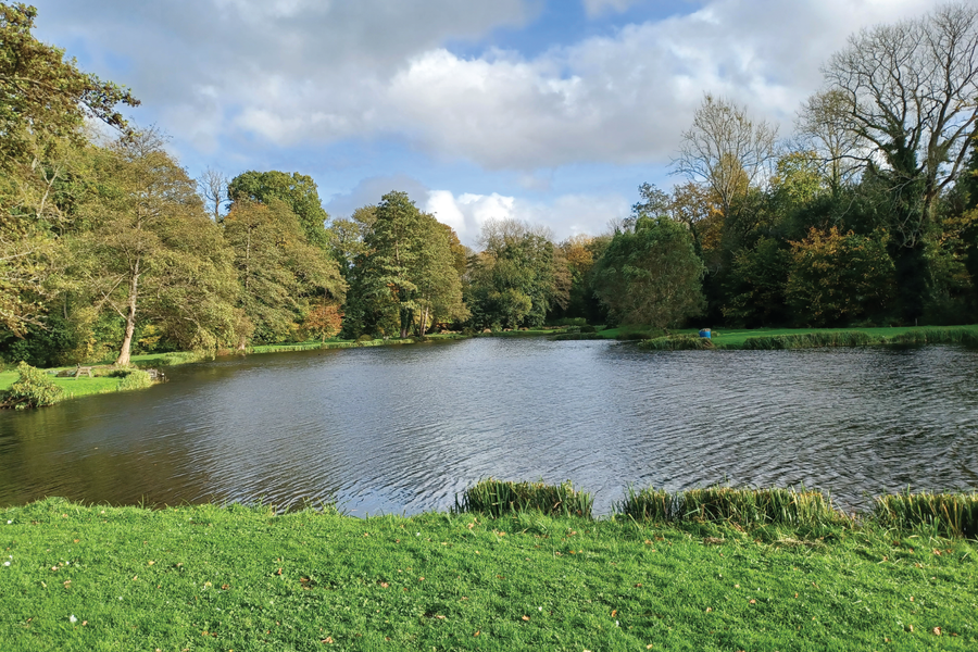 ABOUT – Albury Estate Fisheries