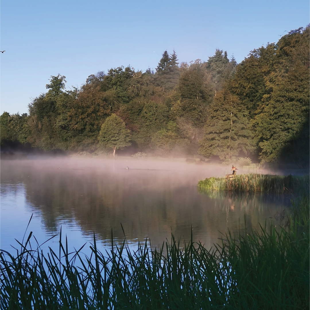 WESTON – Albury Estate Fisheries