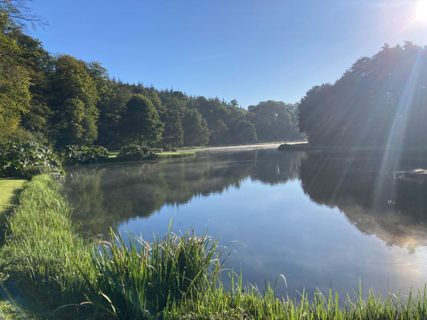 WESTON – Albury Estate Fisheries